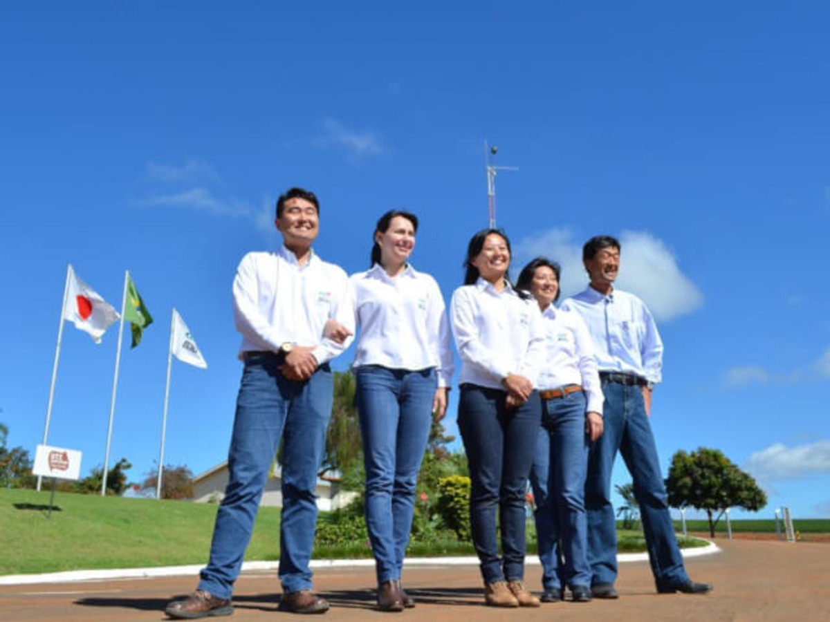 ブラジル トミオフクダ バレ・ド・クリスタル農園DOT(コーヒー豆200g) | HANY ON COFFEE