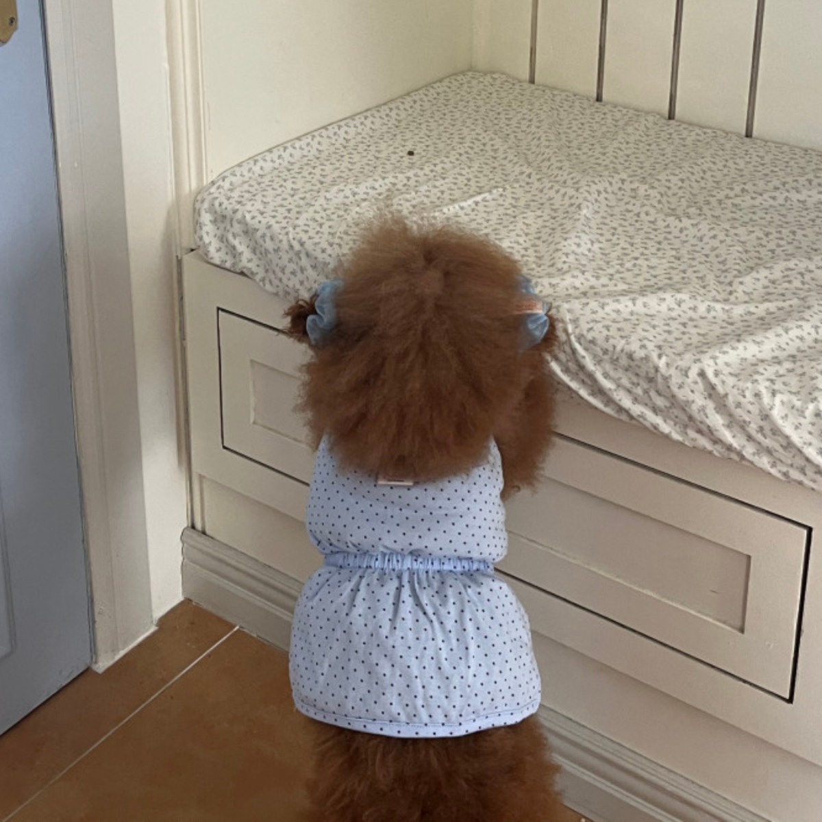 【即納】[tak!tak!tak!tak!]Dot/Wish Series_Ops (skyblue dot) Sサイズ残り1点 | FLUFFY