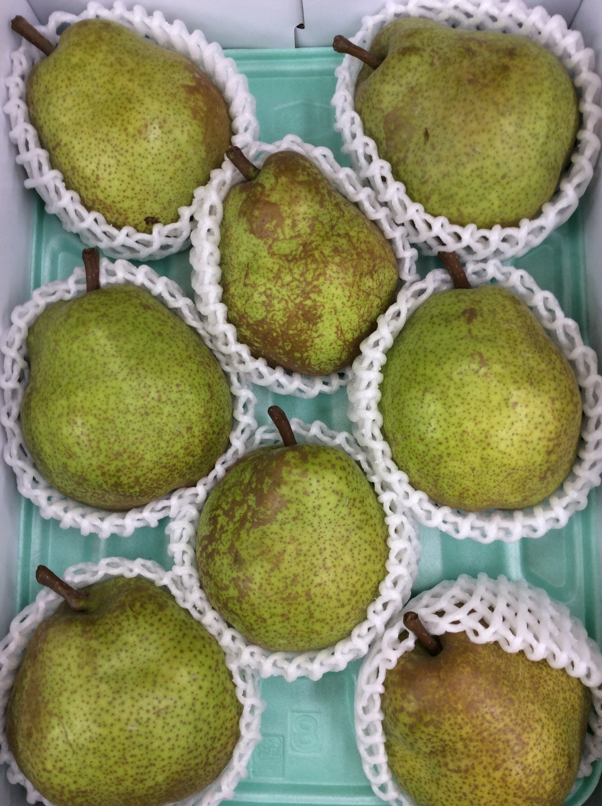 ラ･フランス （天童・他産） 3kg･5L,4L･7玉,8玉 | グリーンショップはらだ ONLINE SHOP