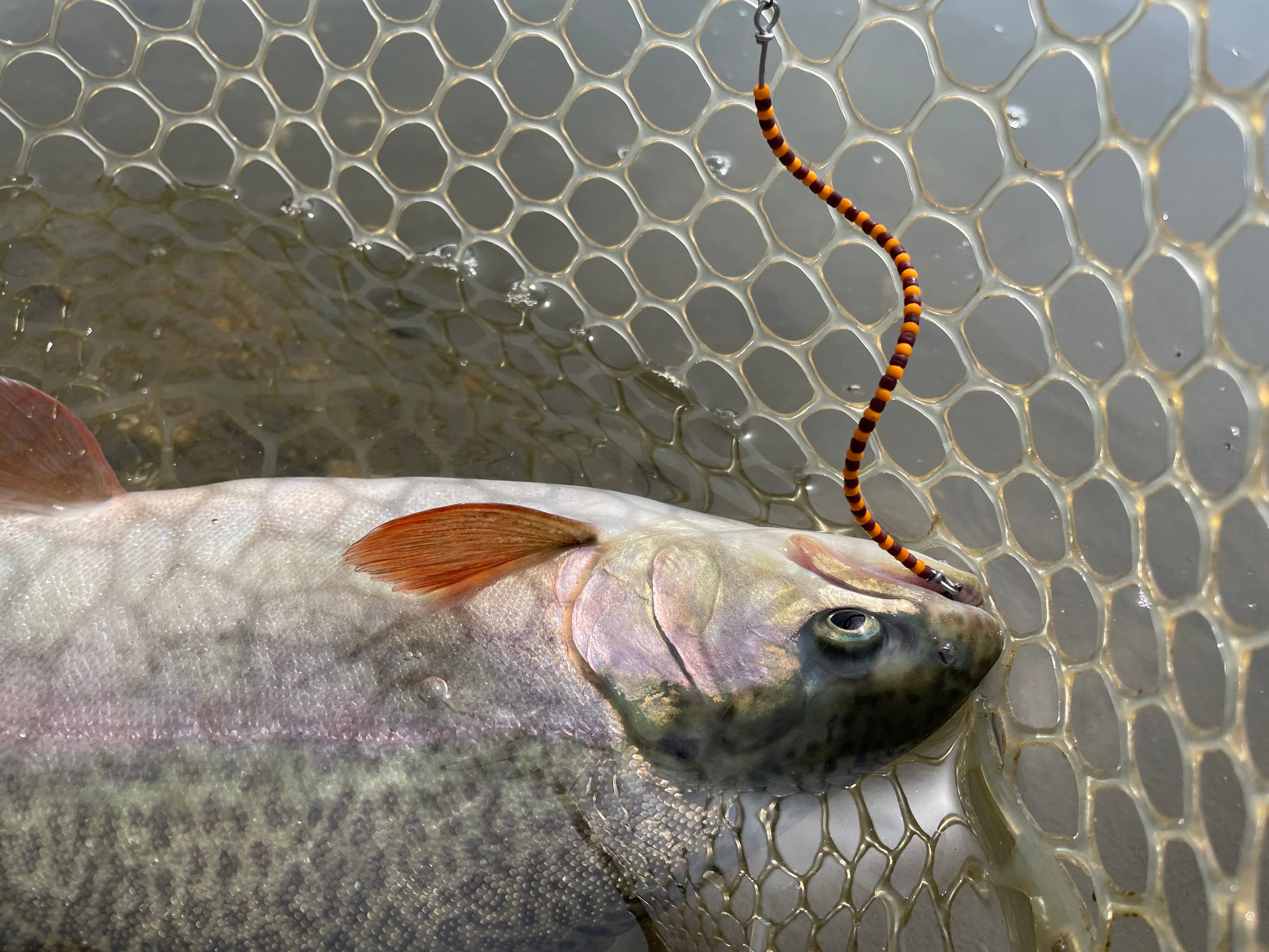 海鱒スパイラルtrigger 2本セット 2.9g | umimas craft