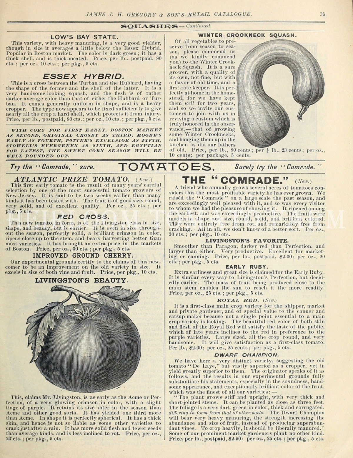 Heirloom Tomato® Comrade=The Comrade エアルーム・トマト・コムラーデ | Heirloom Tomato Farm