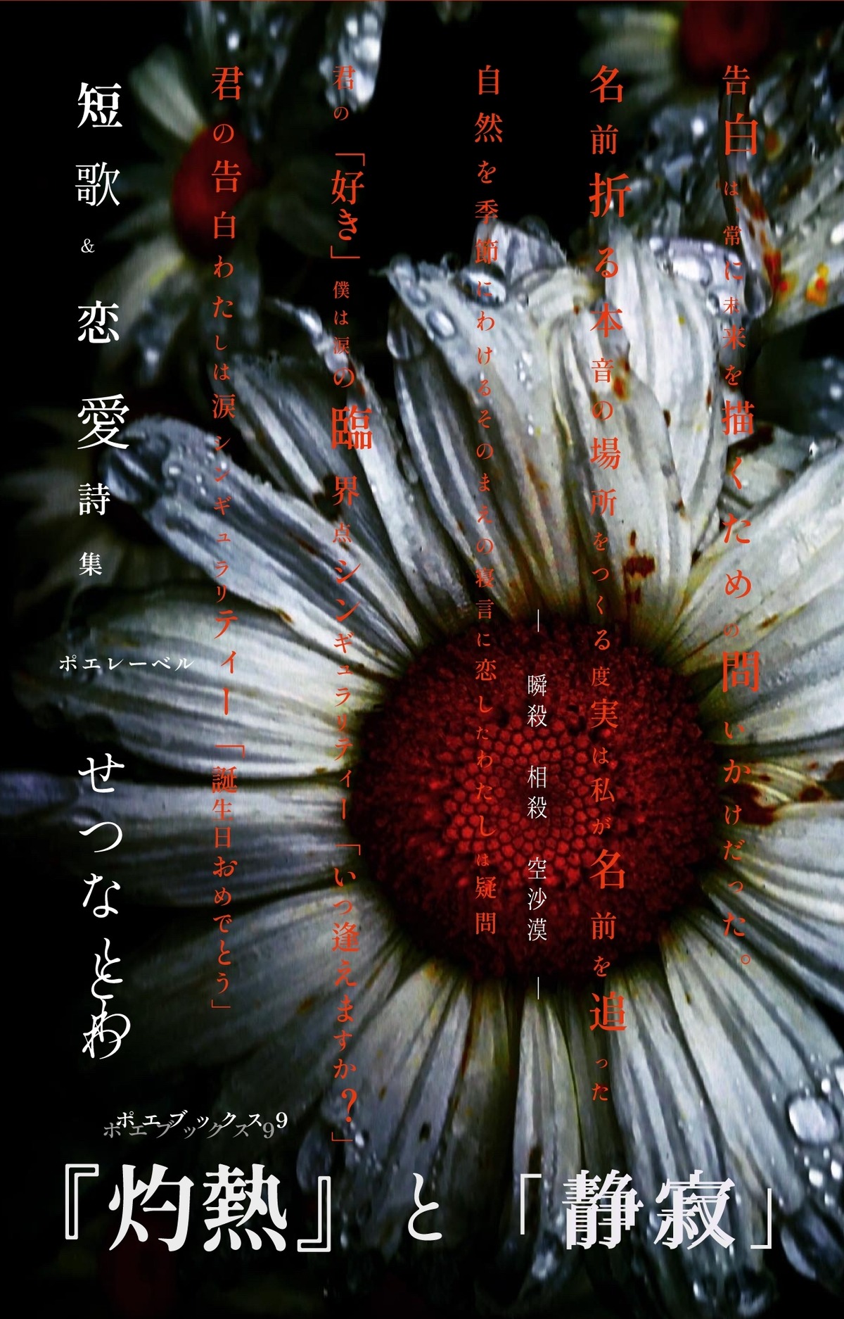 『灼熱』と「静寂」: ― 瞬殺 相殺 空沙漠 | Poe Label