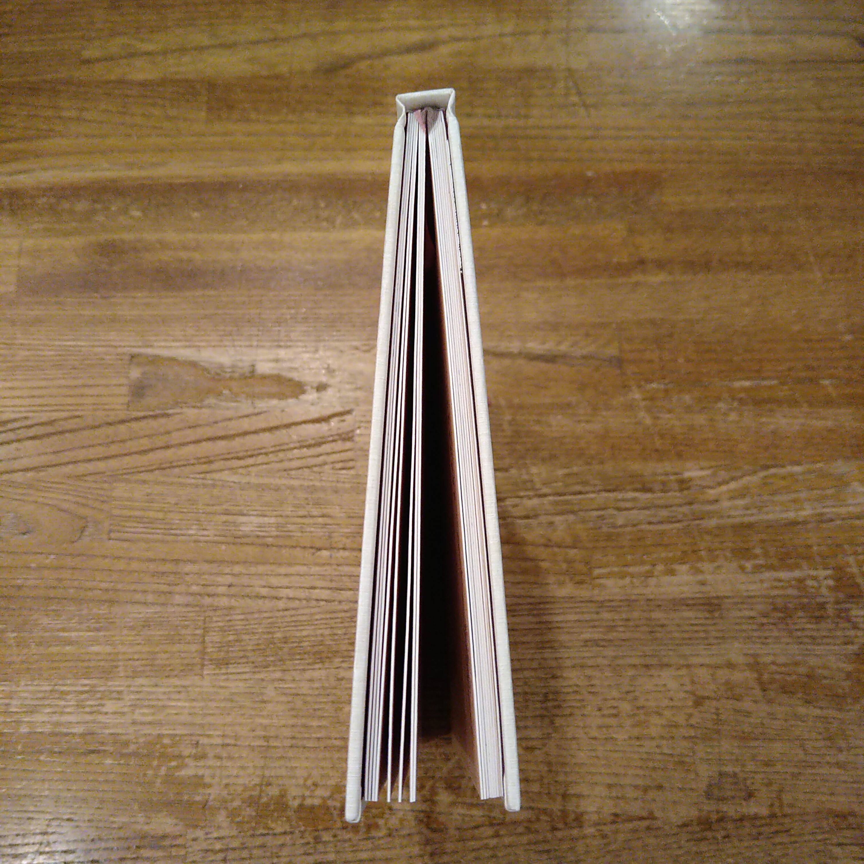 HORSE / NACHIO NAKANISHI ( 中西直子 ) | 百年