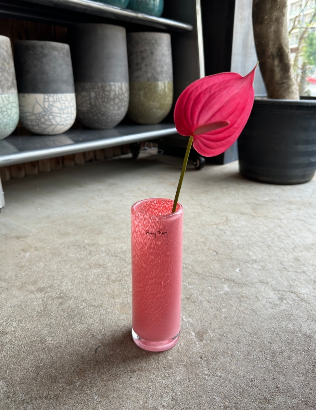 Henry Dean V.Pipe S スウィート | HANACHO exotics plants