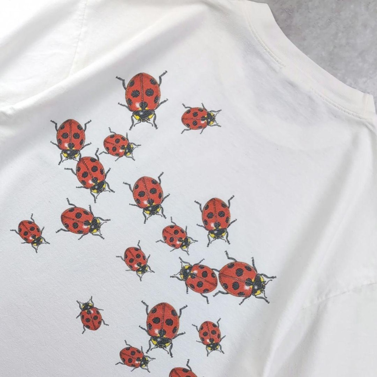 Good Regular Ladybug T-Shirt Made in USA 651 | JIRO