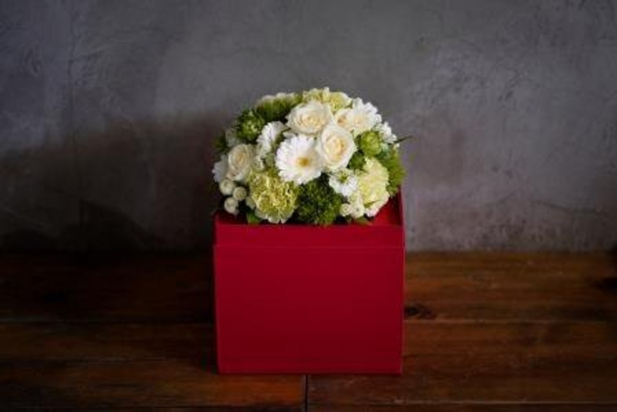 Matilda Flower CONTENA【aka × white】L | Matilda