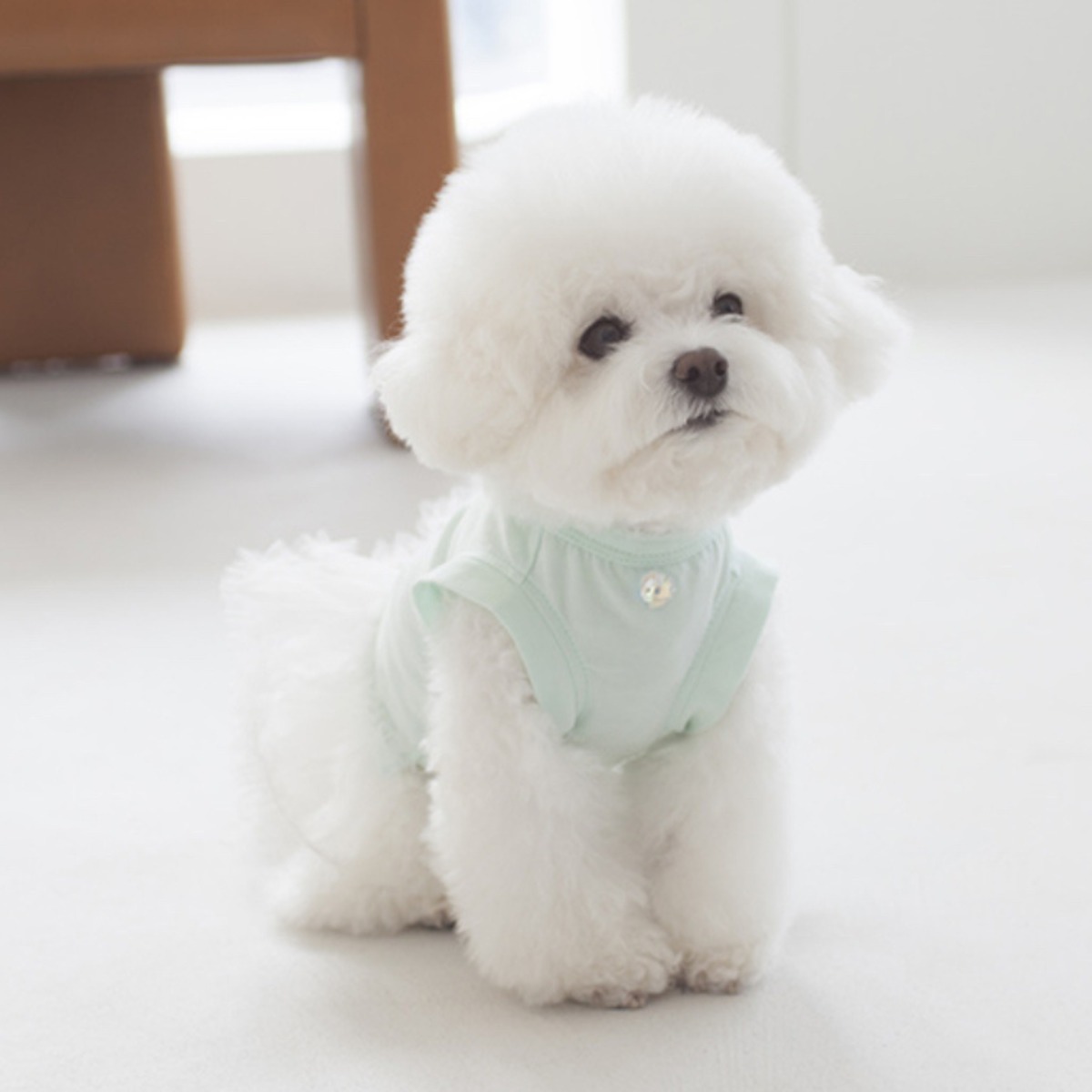 【予約】[cocochien]Macaron Tutu | FLUFFY