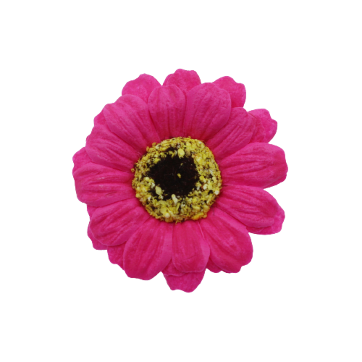 ミニガーベラMG-P9チェリーピンク (15輪入りor25輪入り) | binuhana