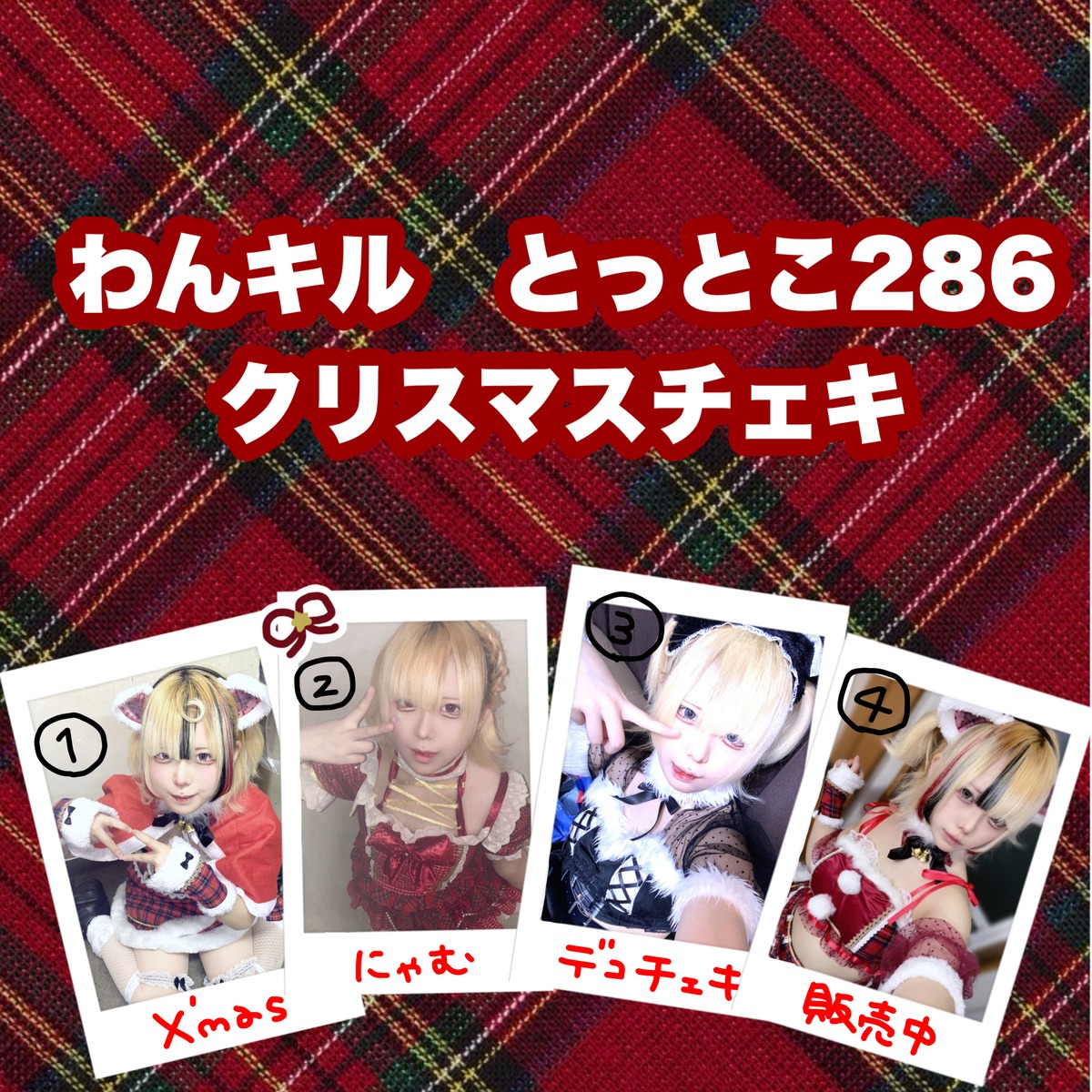 【わんキル】とっとこ286 クリスマスチェキ | Beara Store