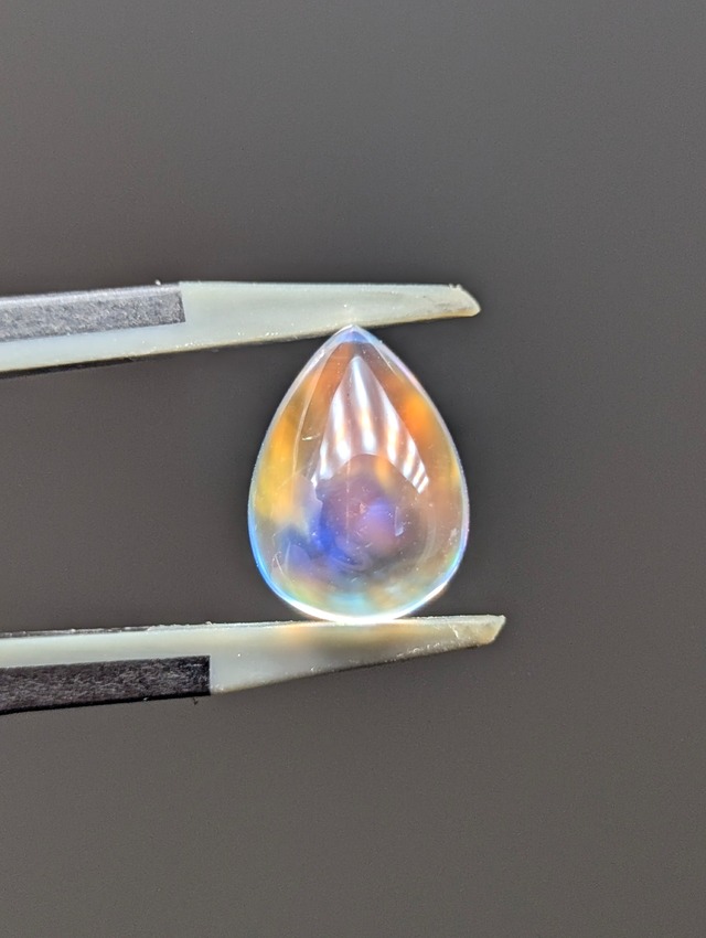 特選ルース | 鈴木屋