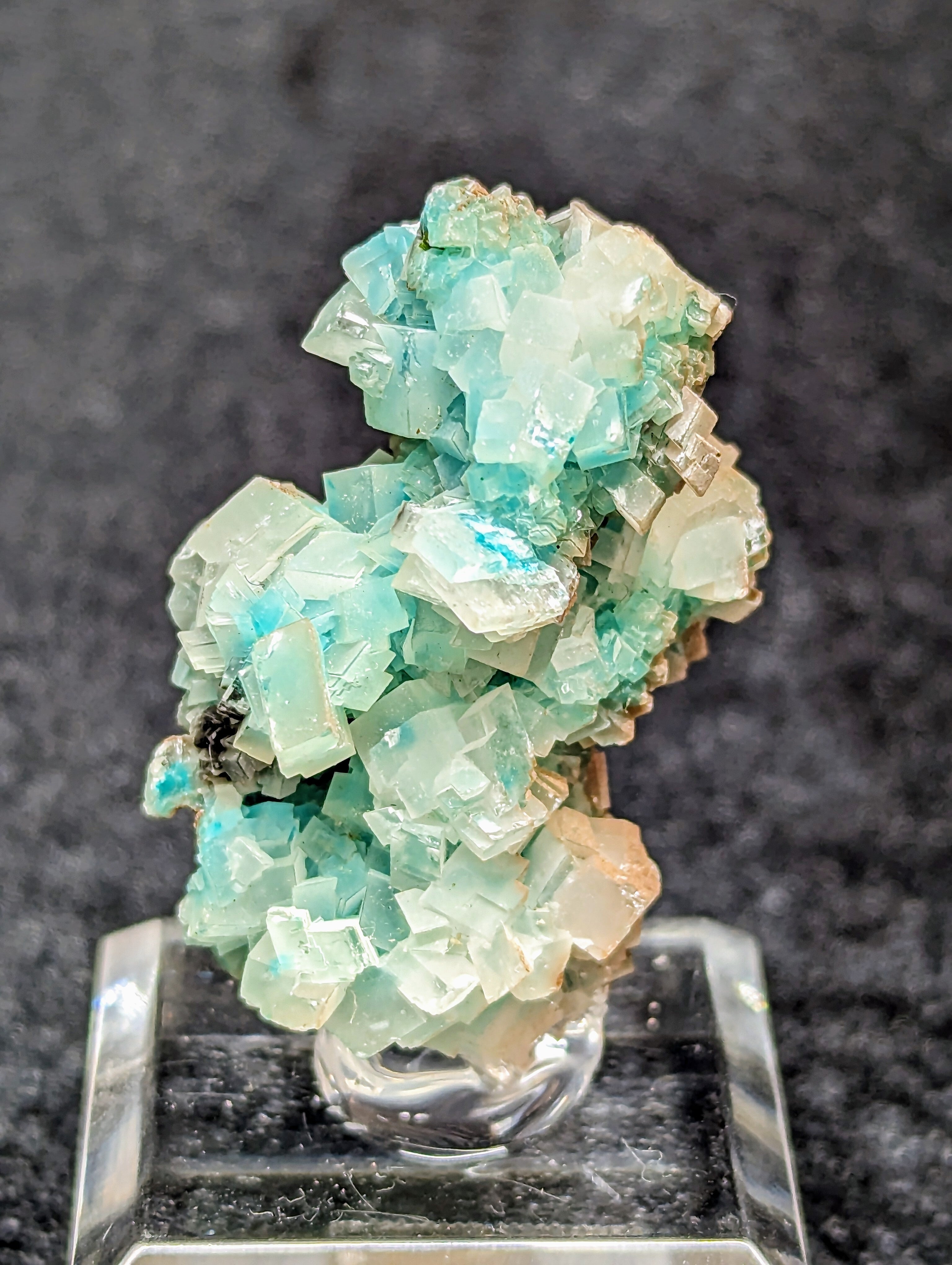 【ライブ/kyui様専用】ダイオプテーズonカルサイト Tsumeb Mine, Oshikoto Region, Namibia R5 ...