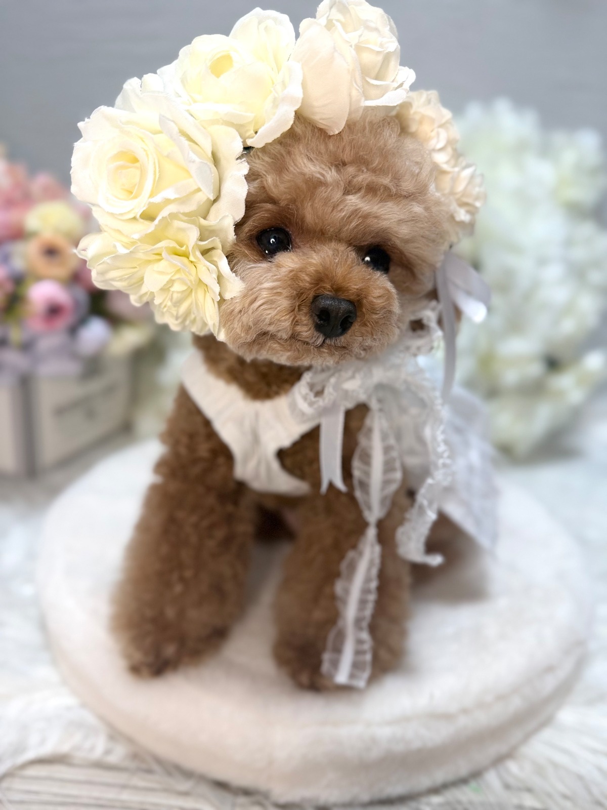 フラワーカチューシャ【予約】 | i3