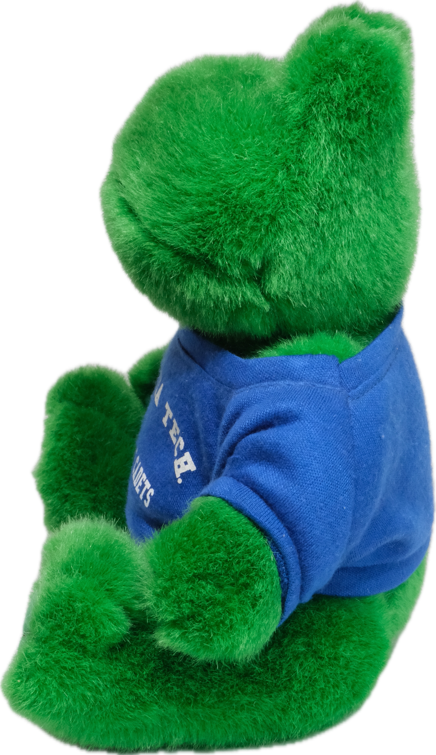 Old Staffed Toy: Frog | Pet Shop OF HORRORS