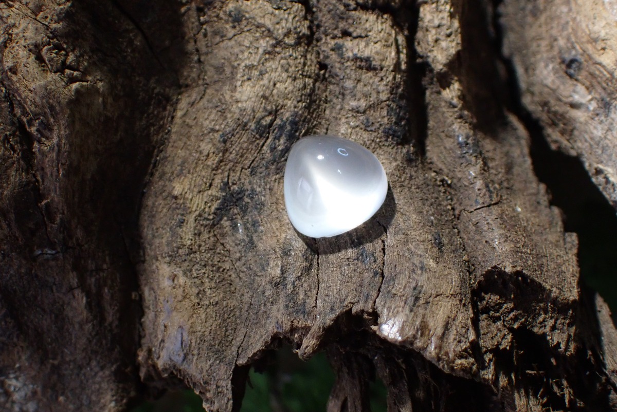 ムーンストーンキャッツアイ 1.97ct [C2‐1250] | differencee(ディファレンシー)