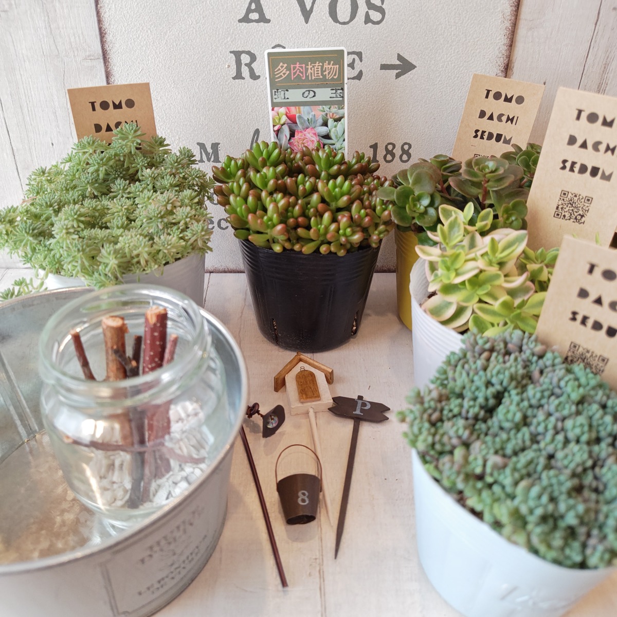 箱庭ひとまとめセット B パープルヘイズ | hitomatome