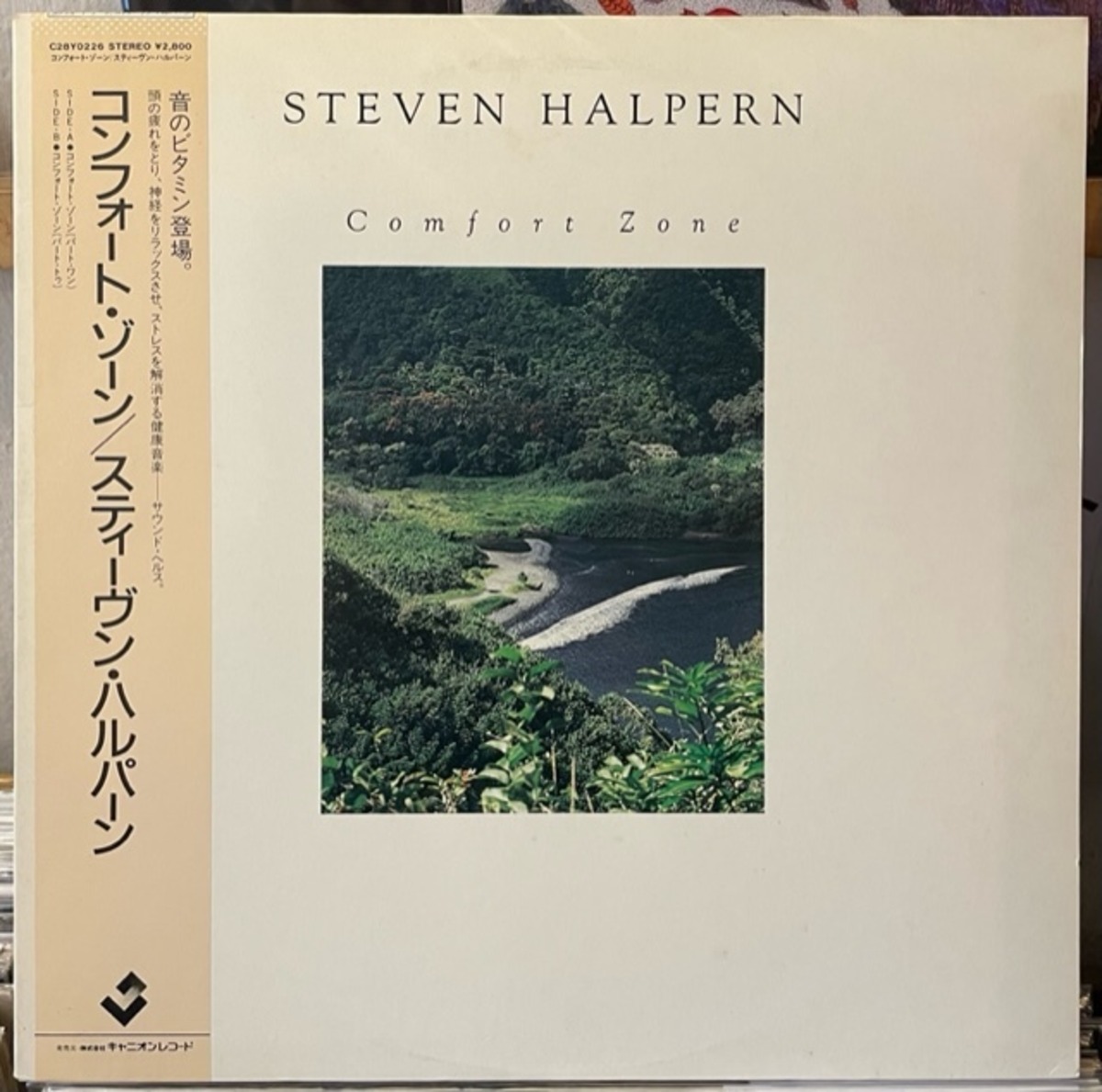 STEVEN HALPERN "COMFORT ZONE" LP | EAD RECORD