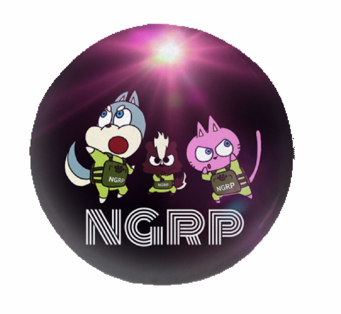 NGRP 缶バッチ スポットライト | Pay ID