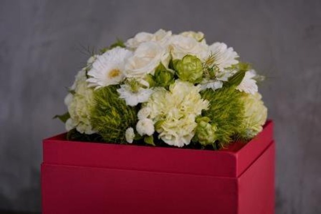 Matilda Flower CONTENA【aka × white】L | Matilda