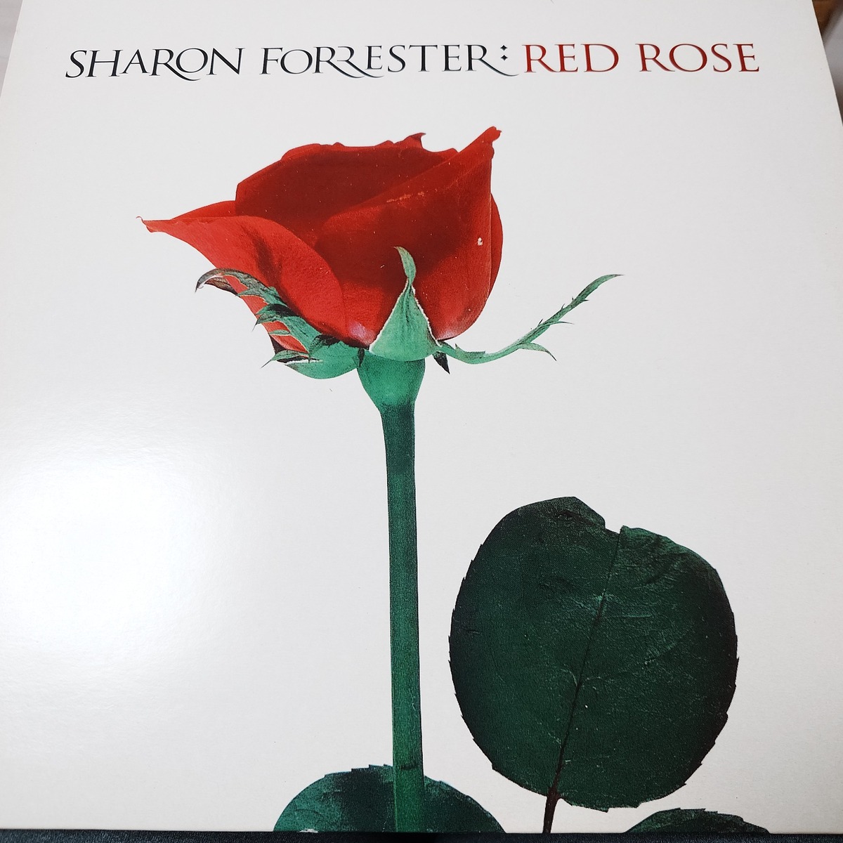 Sharon Forrester & Papa San - Red Rose (Club Mix) // Internal Affairs 12inch / The Gaylads / レゲエ ...