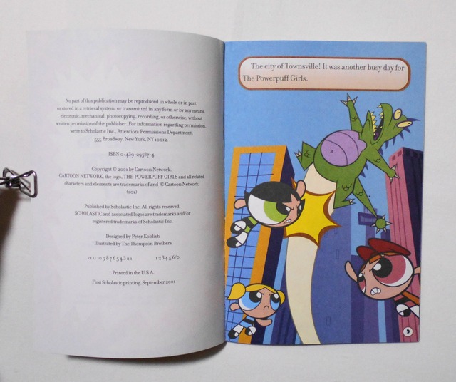 【パワーパフガールズ CARTOON NETWORK THE POWERPUFF GIRLS: WHERE IS CHICKEN POX ...