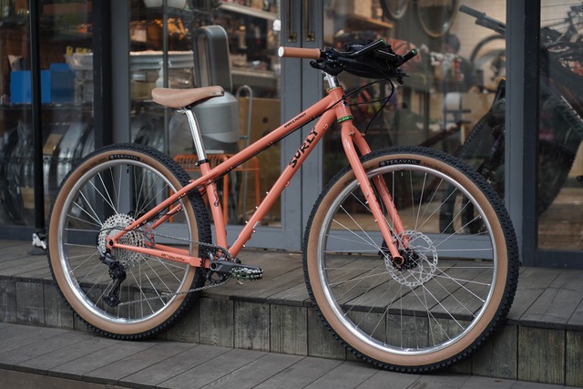 SURLY | MATTHEW CYCLE