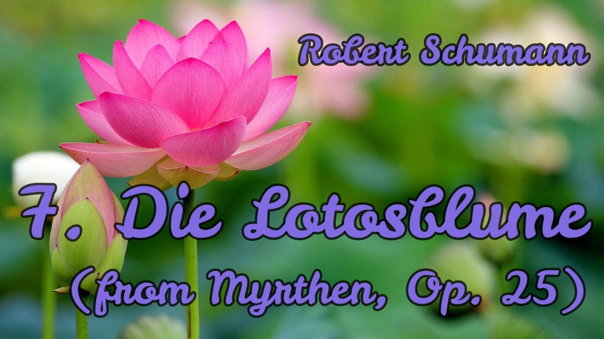 Solo+クラリネット五重奏 「ミルテの花（Myrthen）」作品25から 蓮の花 楽譜 | 吹奏楽アンサンブル楽譜のアトリエ・アニマート