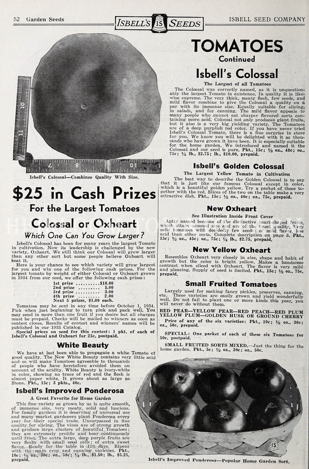 Heirloom Tomato® Isbell's Golden Colossal エアルーム・トマト・イスベルズ・ゴールデン・コロッサル ...