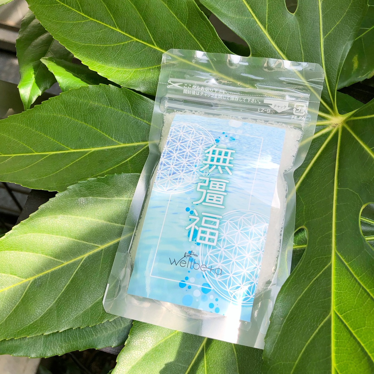 無彊福 海塩 100g | wellbeta