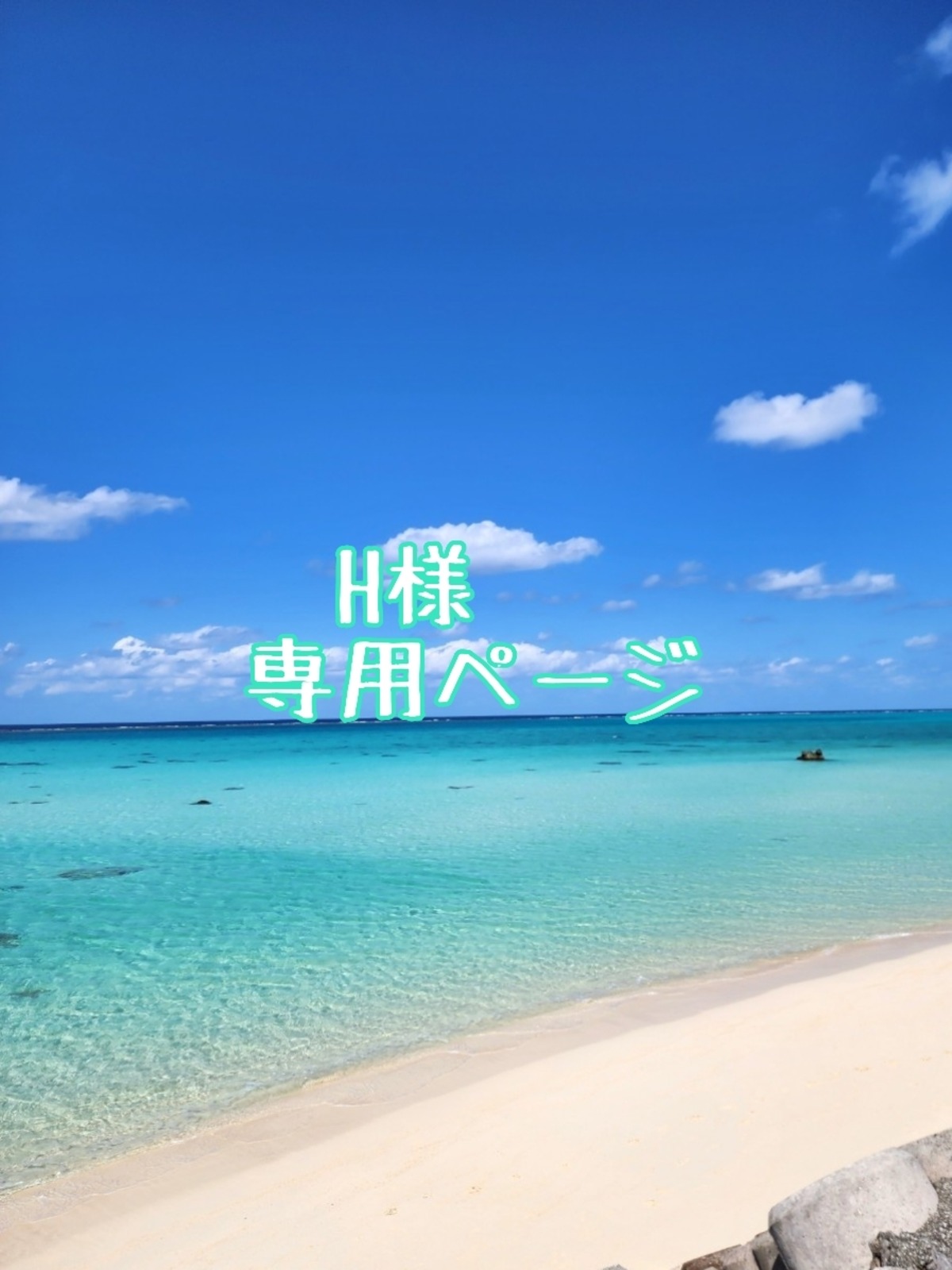 H様専用ページ | Leaf Edgez