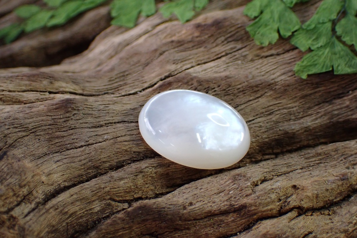 ホワイトシェル 5.49ct [C11-203] | differencee(ディファレンシー)