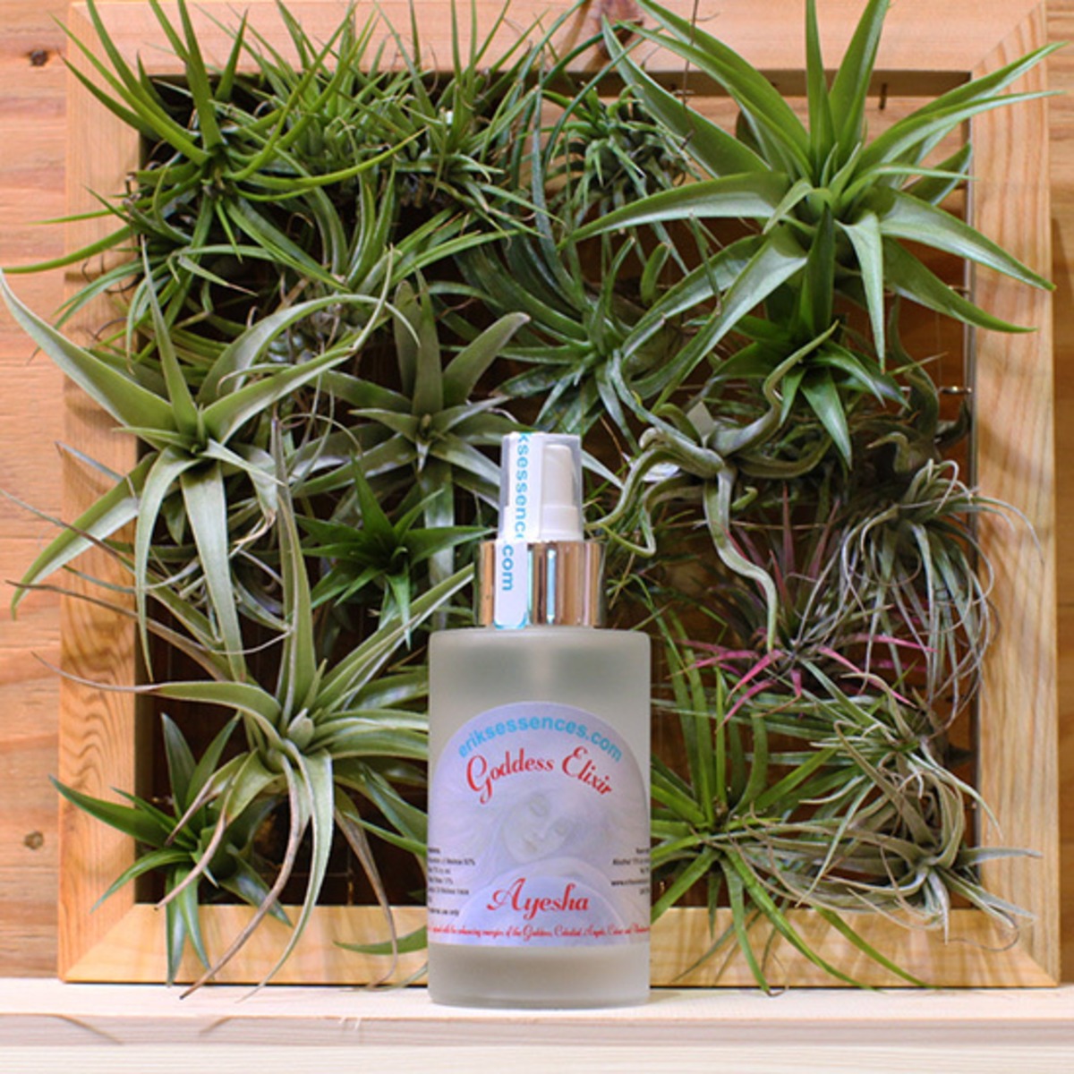 女神のエリクシール アイーシャ 100ml エリックス・エッセンス | Plants and Healing shop LILWA