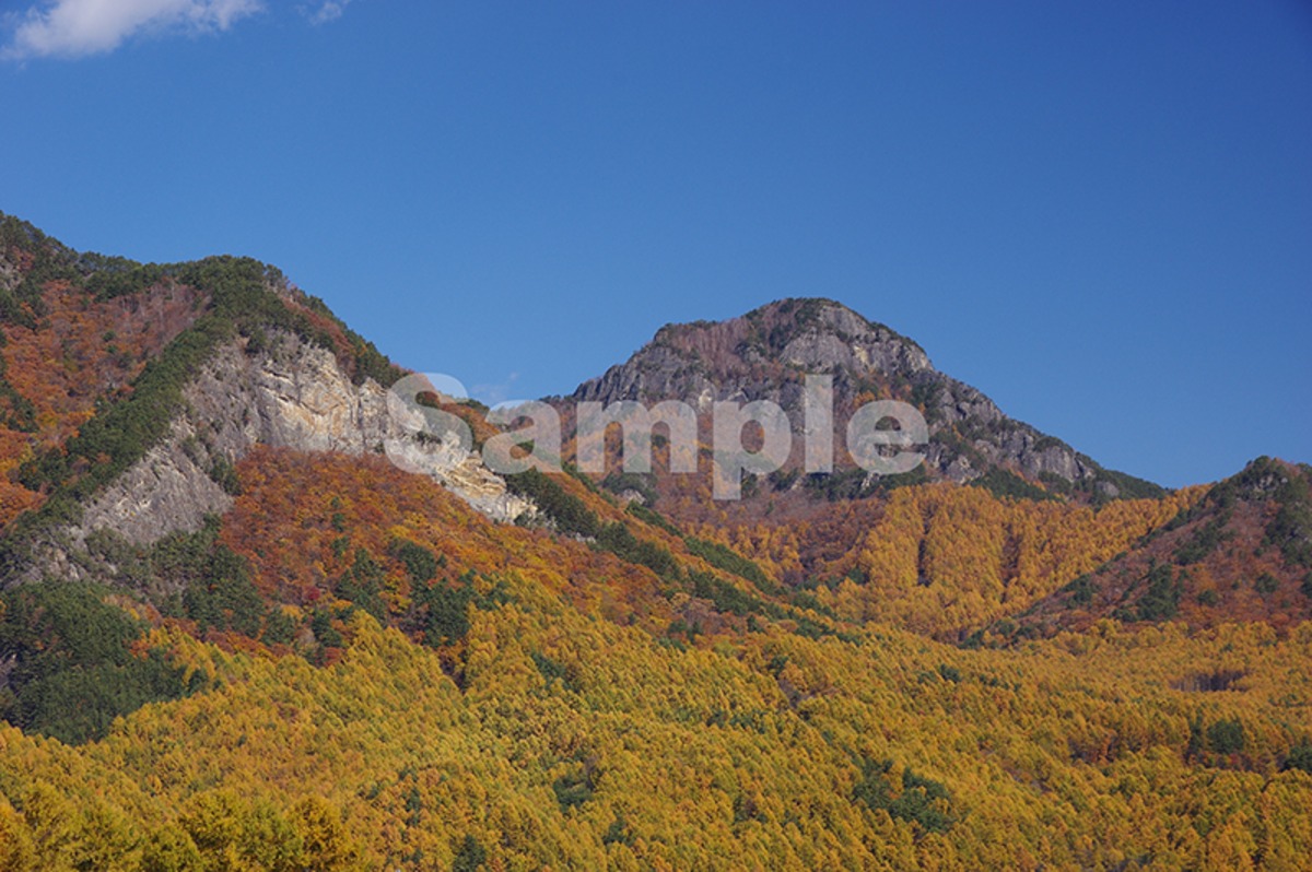 IMGP0051 2B | meadowscape