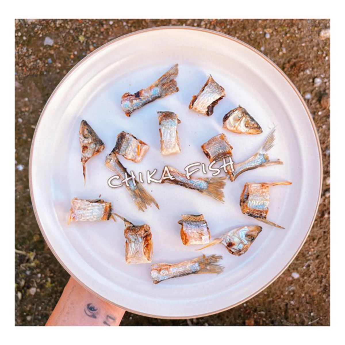 Chika | NATURAL DOG TREAT "LMA"