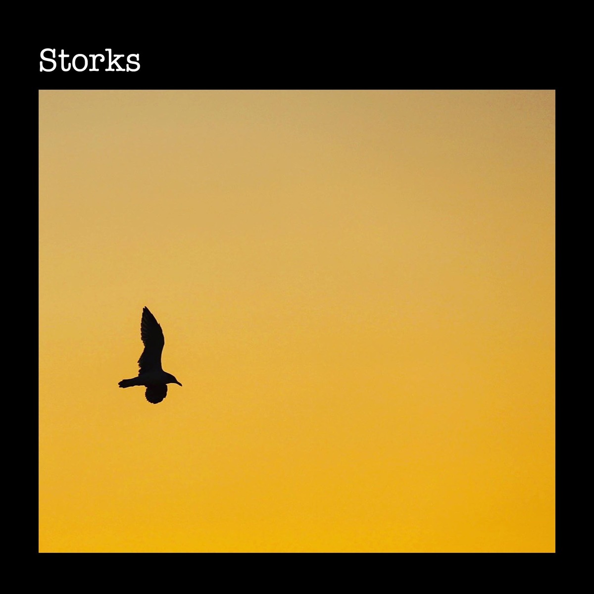 Storks | SLOW JAM RECORDS