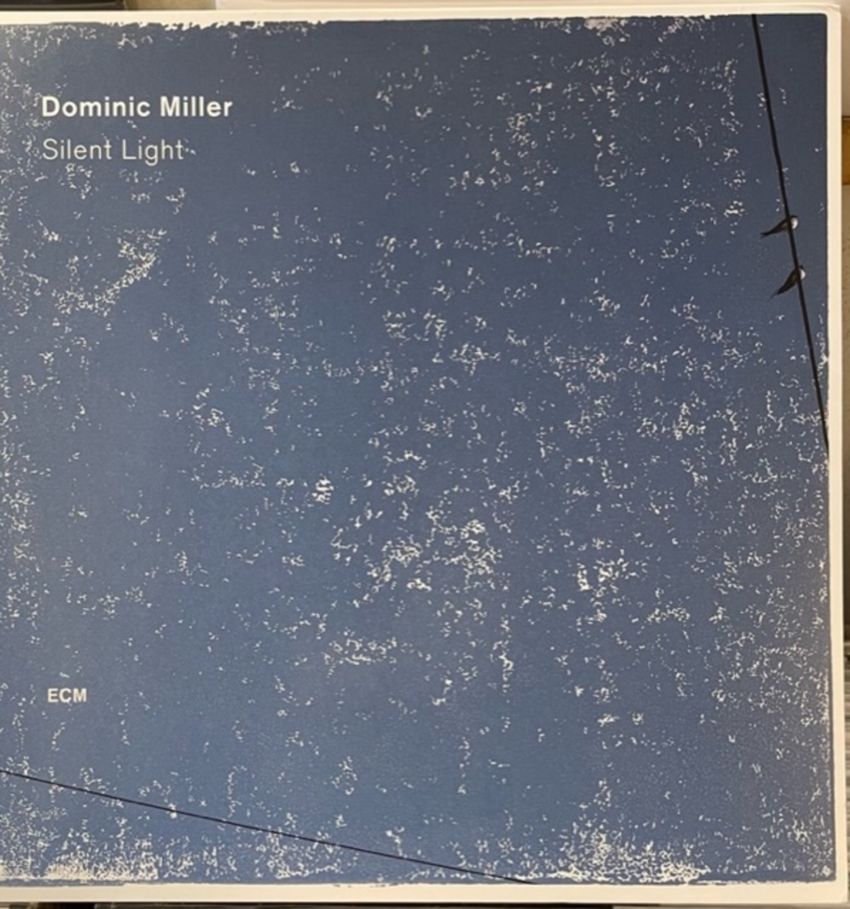 Dominic Miller "Silent Light" LP | EAD RECORD