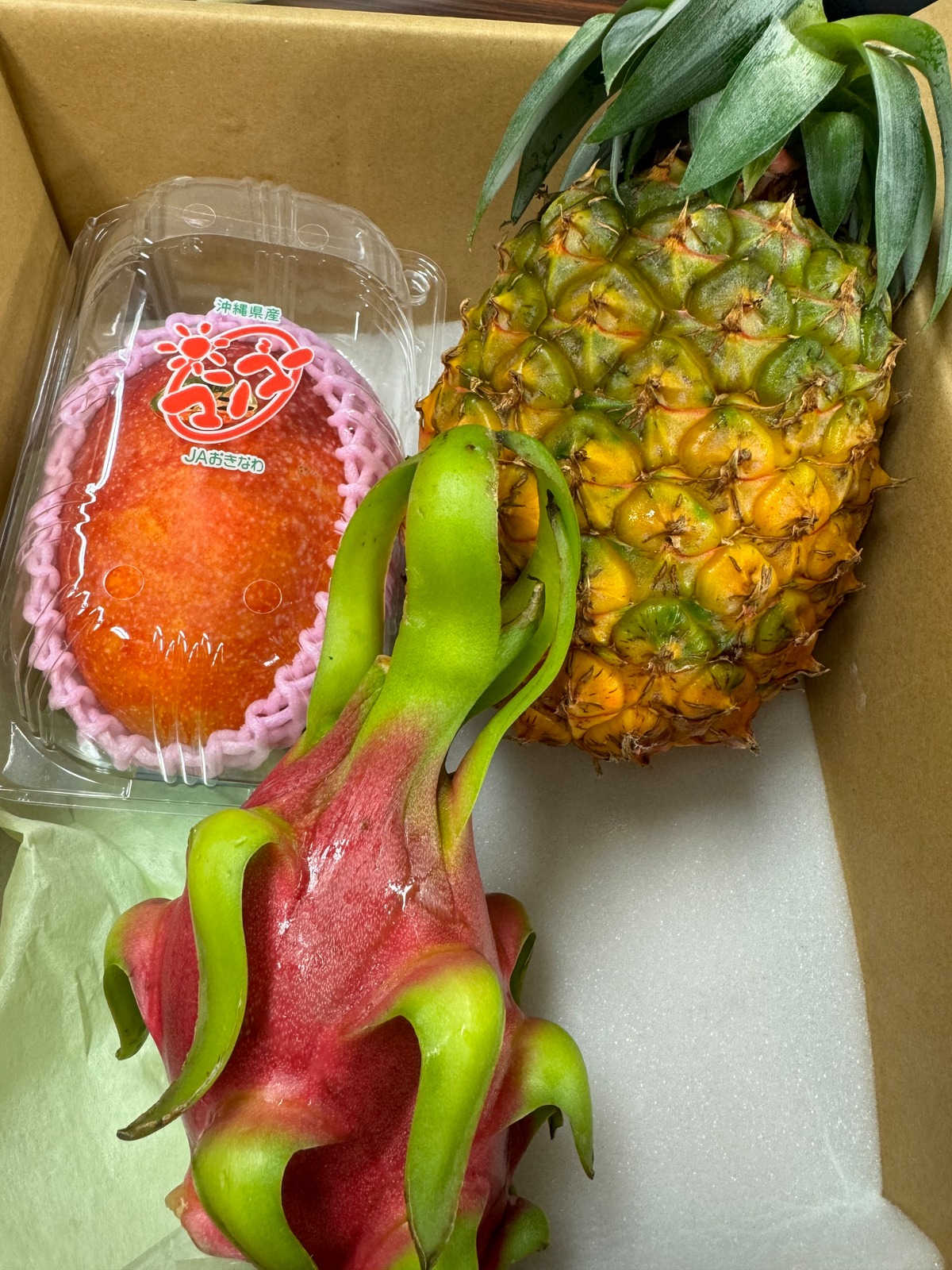 junjunさま | Devotion4