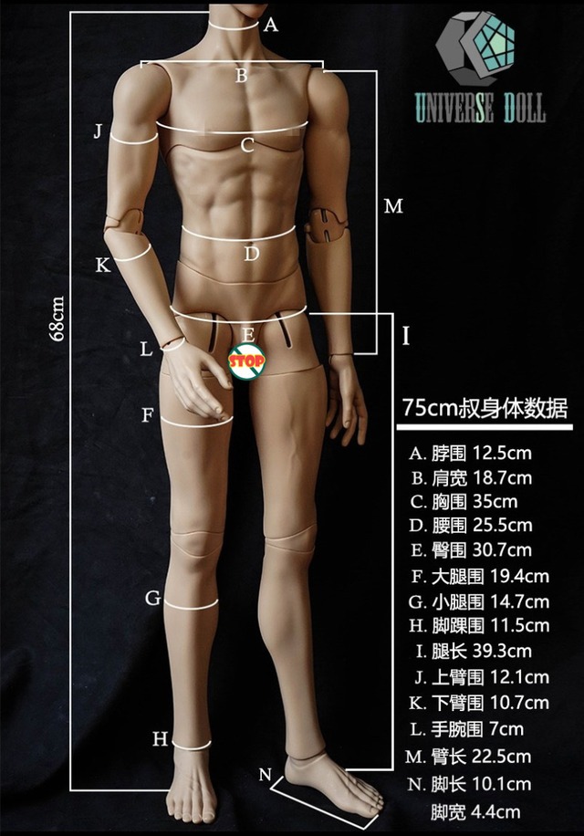 マッチョ！ボディ&ヘッド！US 苍狼SP 白狐SP 75系叔 ヘッドあり BJD 1/3 SD DD ID75 球体関節人形 本体 DOLL ボディ カスタムドール 男の子 大きいサイズ ...