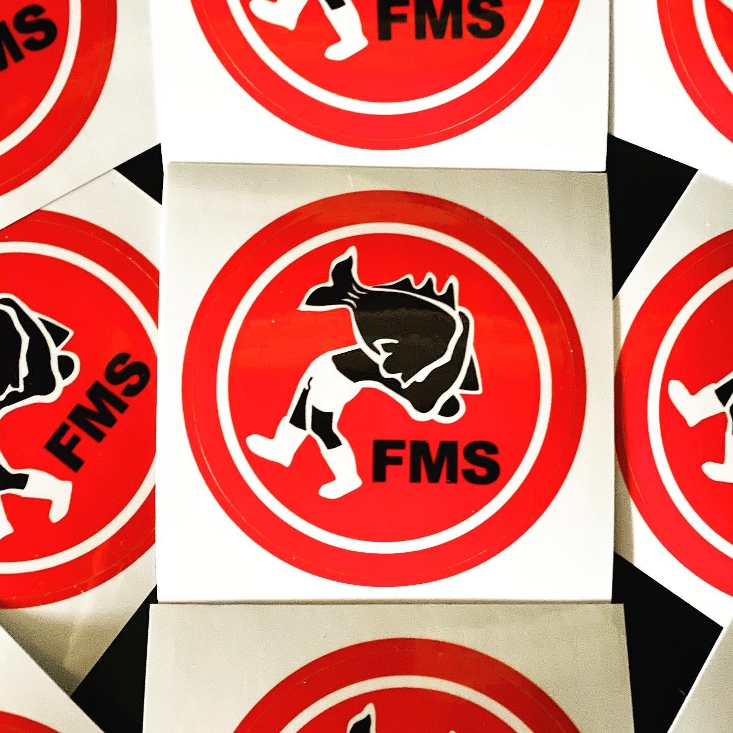 FMSオリジナルロゴステッカー | FMS清水製作所