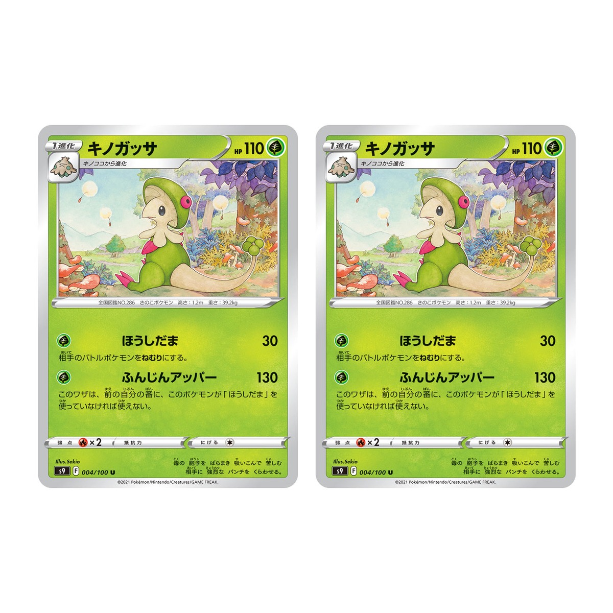 キノガッサ 2枚セット U S9 004/100 | ポケモンカード専門店 Cobalt Cave
