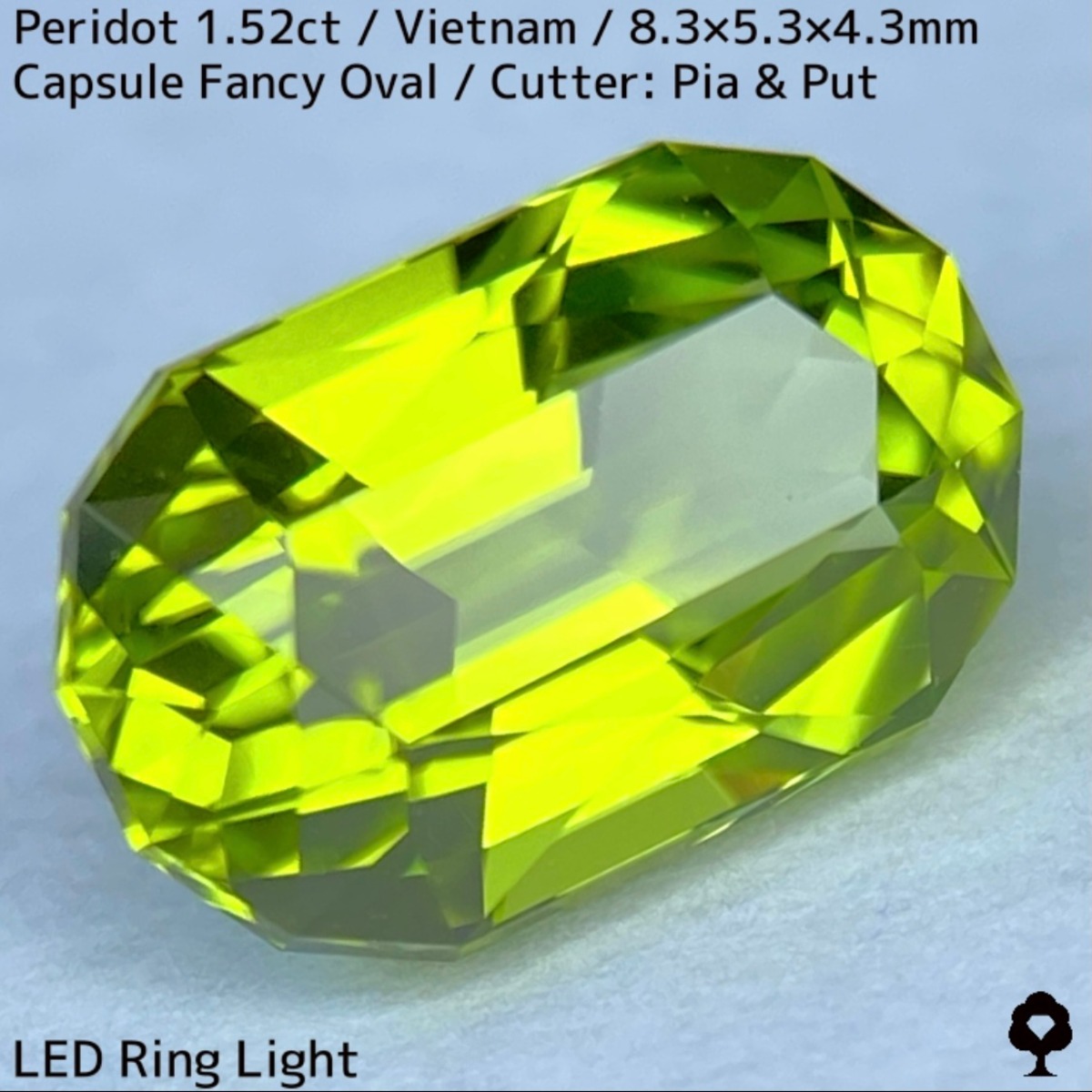 ベトナム産ペリドット1.52ct★スカッとした色合いで発色の良いカプセルステップ美結晶 | New GemTreeJapan BASE Shop