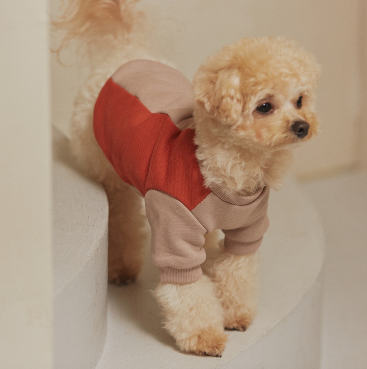 Block Color Sweat Beige | ote.