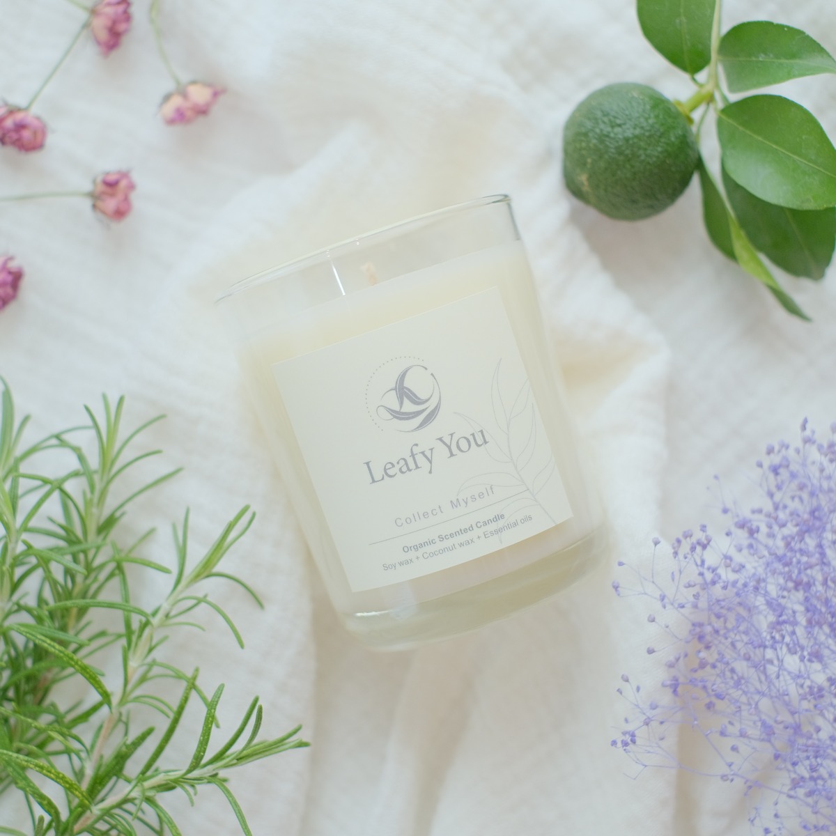 Collect Myself〈コレクトマイセルフ〉：Leafy You Organic Aroma Soy & Coconut Candles ...
