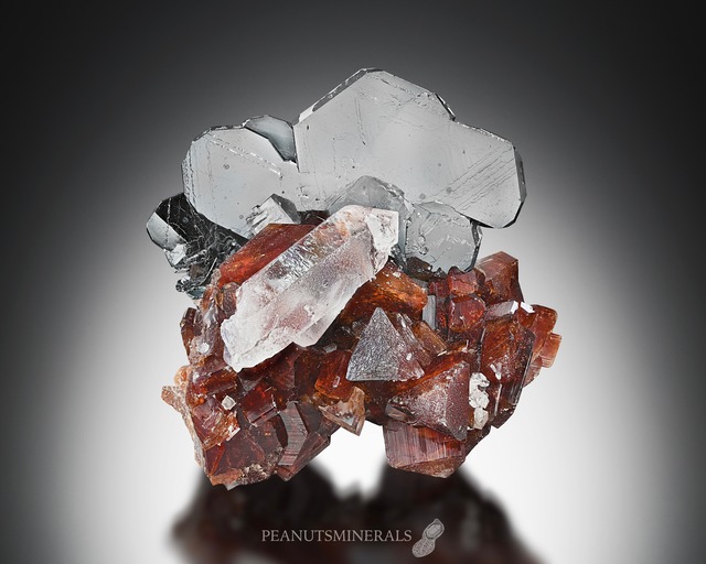 マンナーダイト / クォーツ【Mannardite in Quartz】ブラジル産 | PEANUTS MINERALS