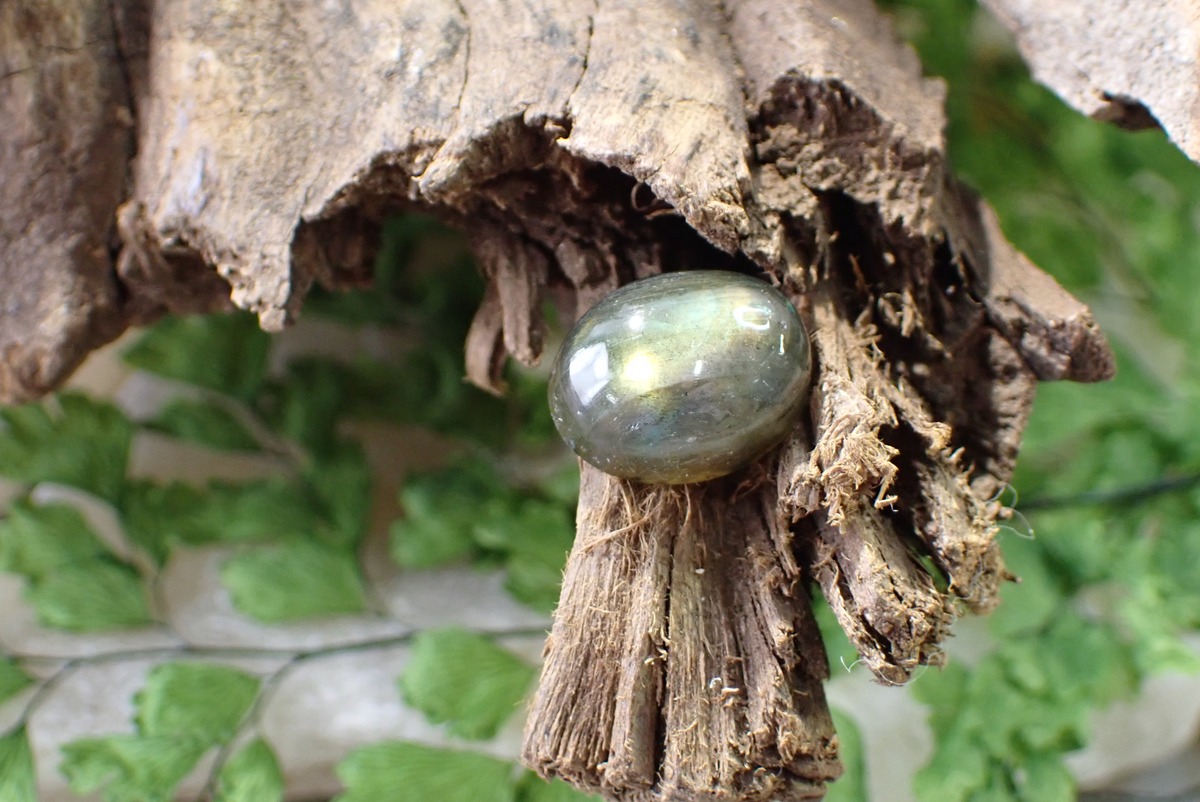 フィンランド産スペクトロライト 3.02ct [C11-156] | differencee(ディファレンシー)