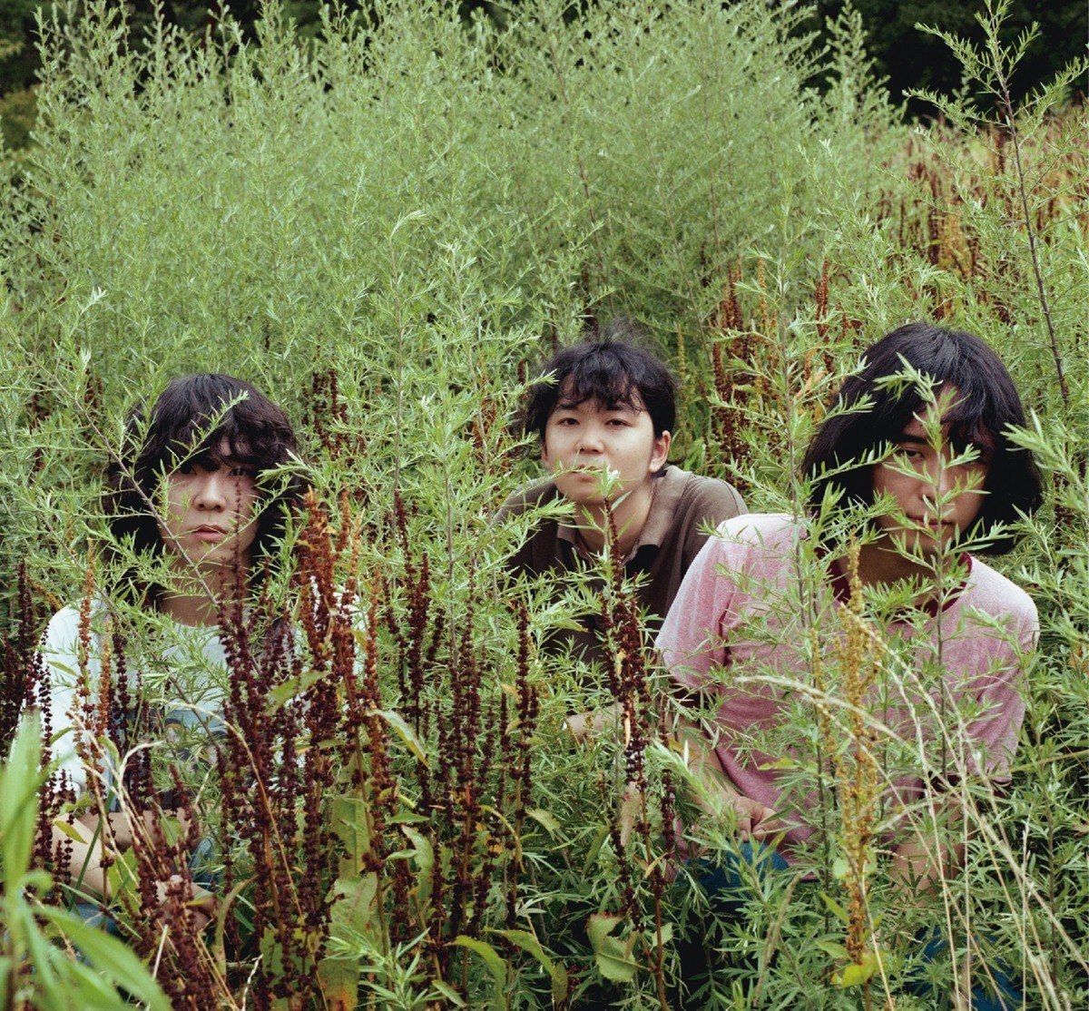 【9/25発売】puggs / パグスの遭遇体験 | motion records