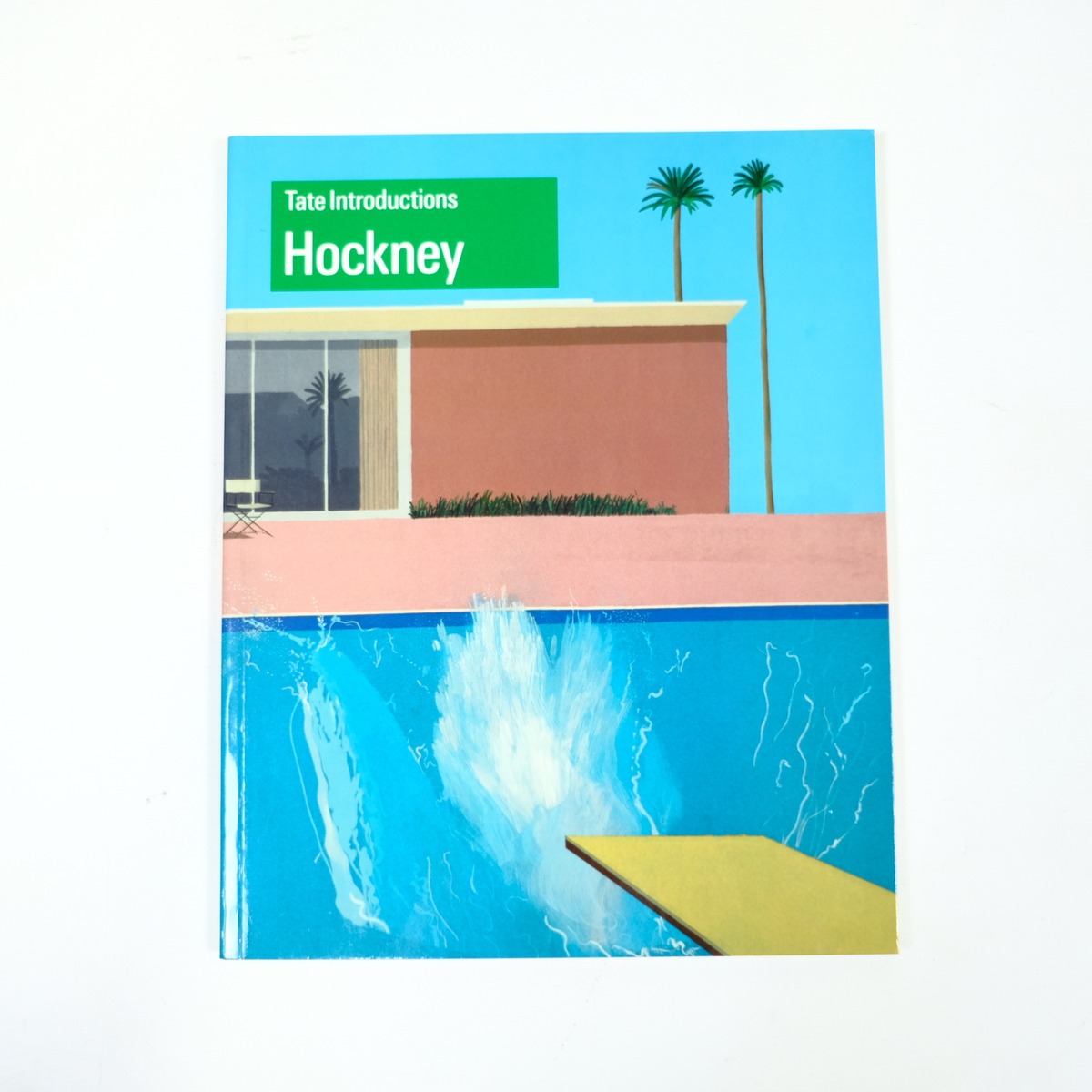 David Hockney Helen Little 画集 洋書 Tate | artbookano