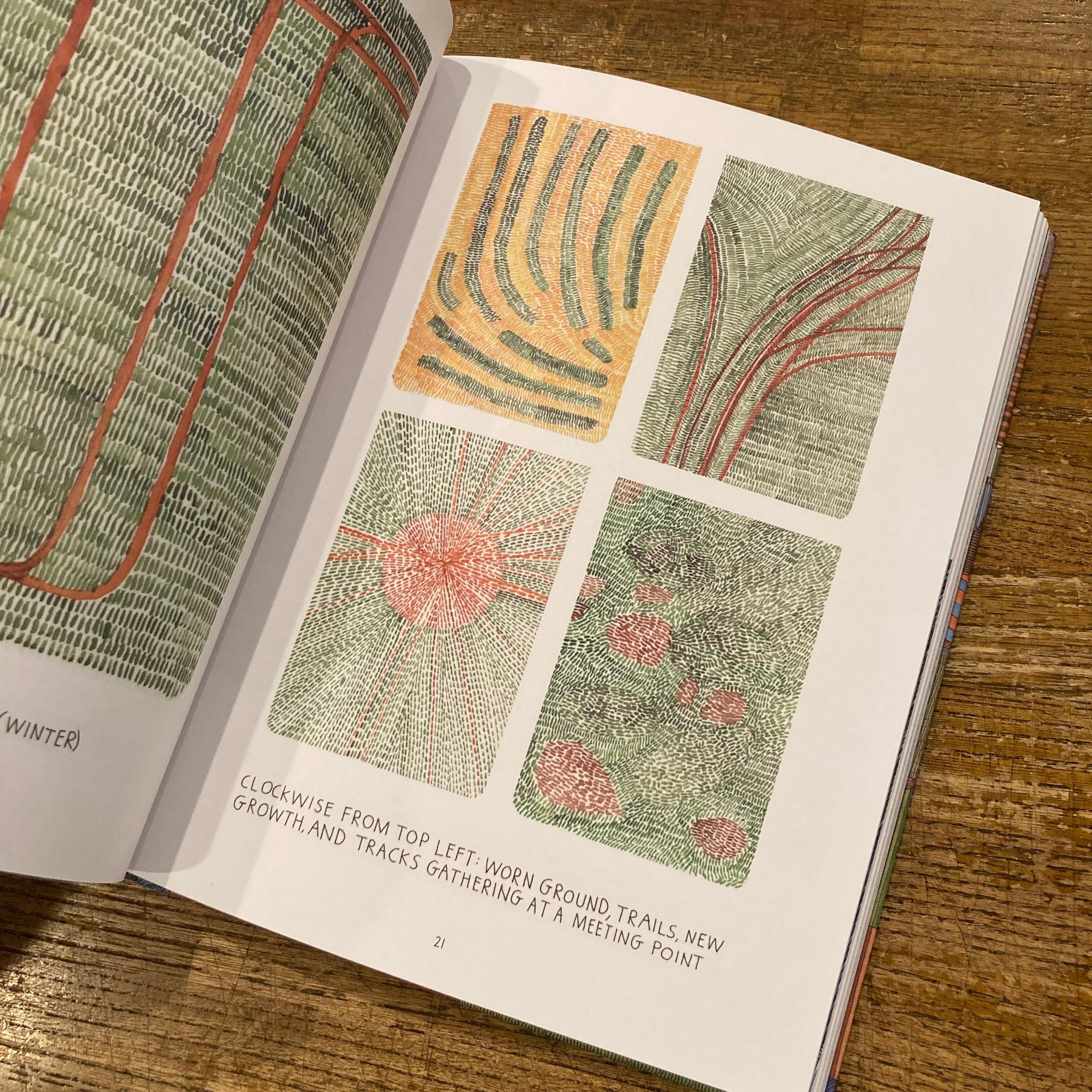 IN THE WILDS / Nigel Peake | 百年