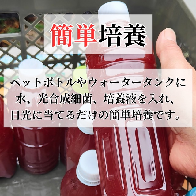 光合成細菌 PSB 培養40L培養セット | 光合成細菌 PSB 専門店 秀玄