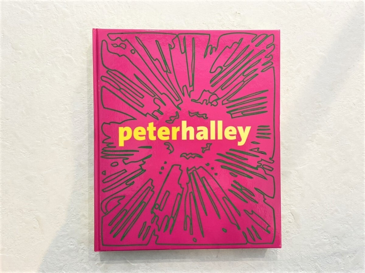 【VA311】Peter Halley Maintain Speed /visual book | KITAZAWA BOOKSTORE