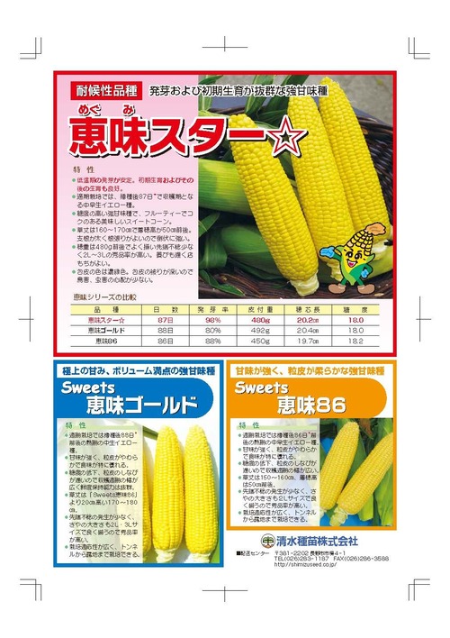 Sweets恵味®スター（100粒） | 清水種苗オンライン